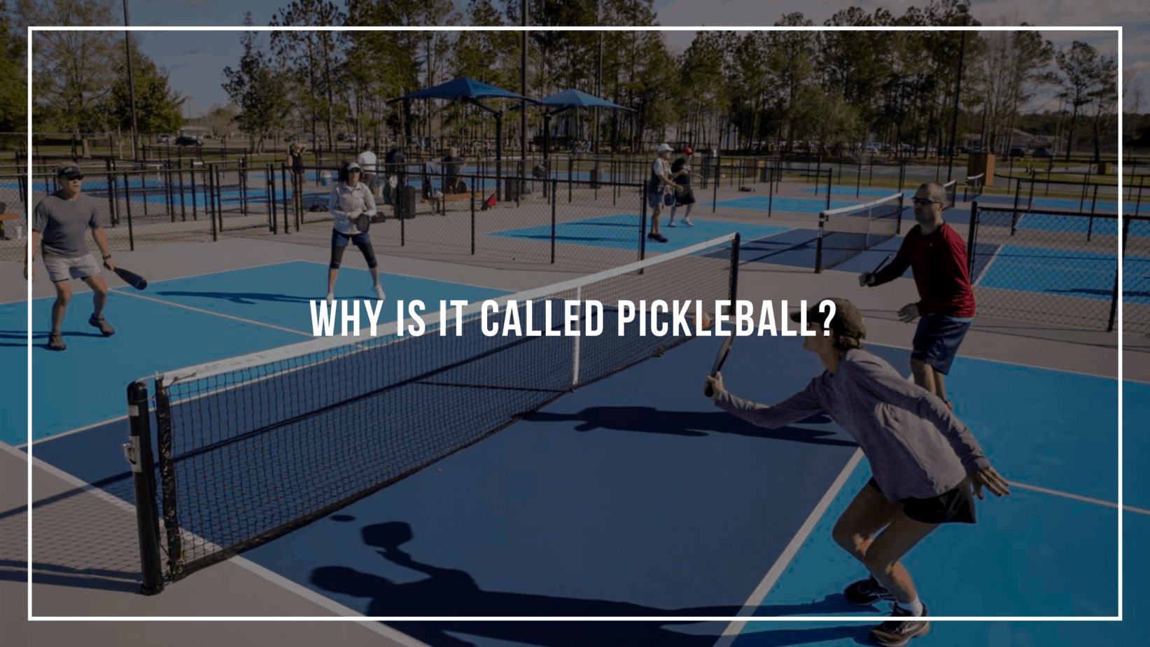 Why Is It Called Pickleball? | Pickleballin