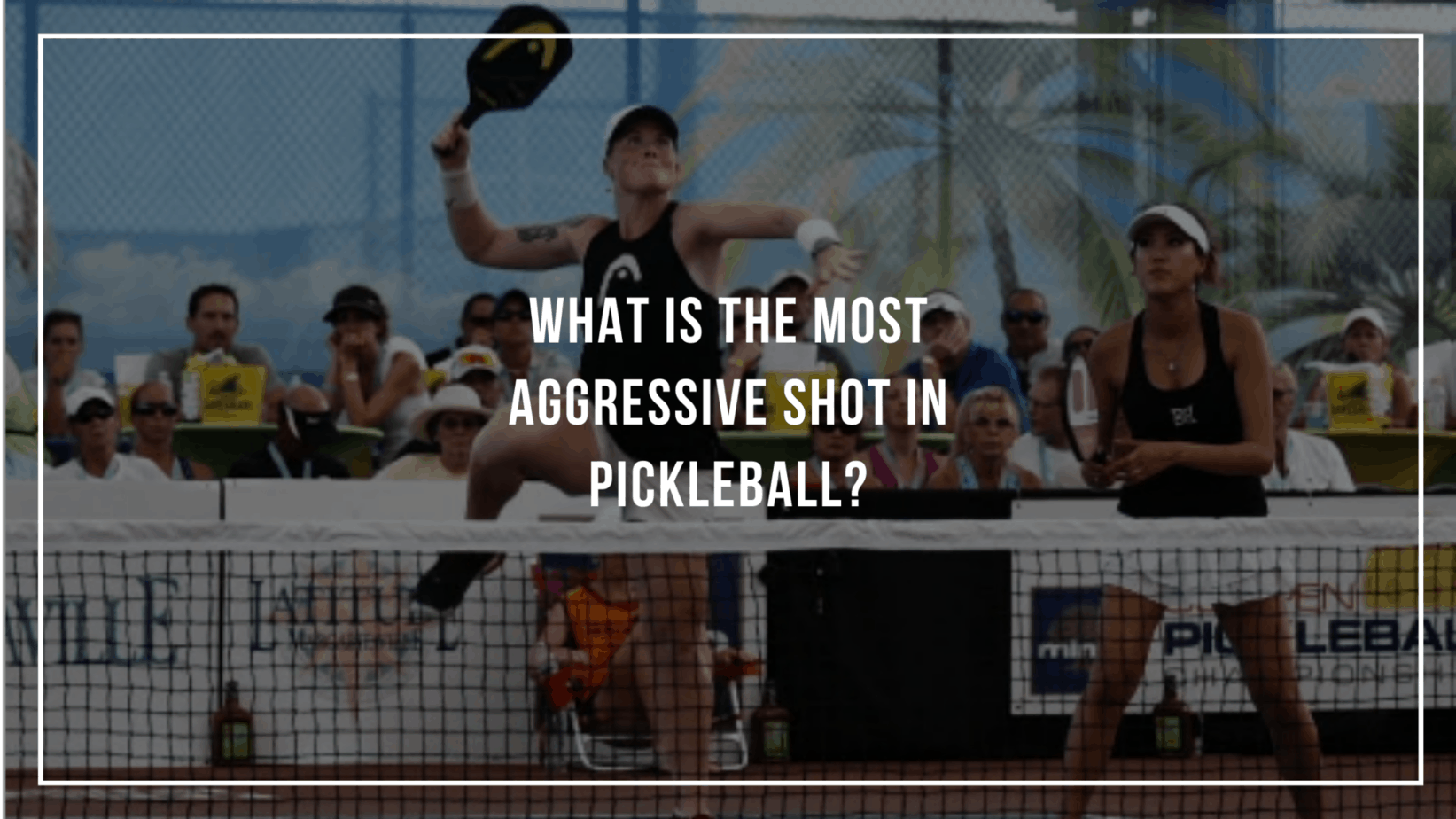 What Is the Most Aggressive Shot in Pickleball? | Pickleballin