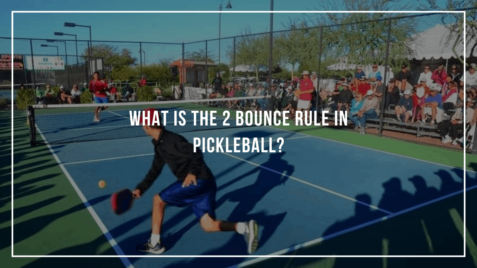 What Is the 2 Bounce Rule in Pickleball? | Pickleballin